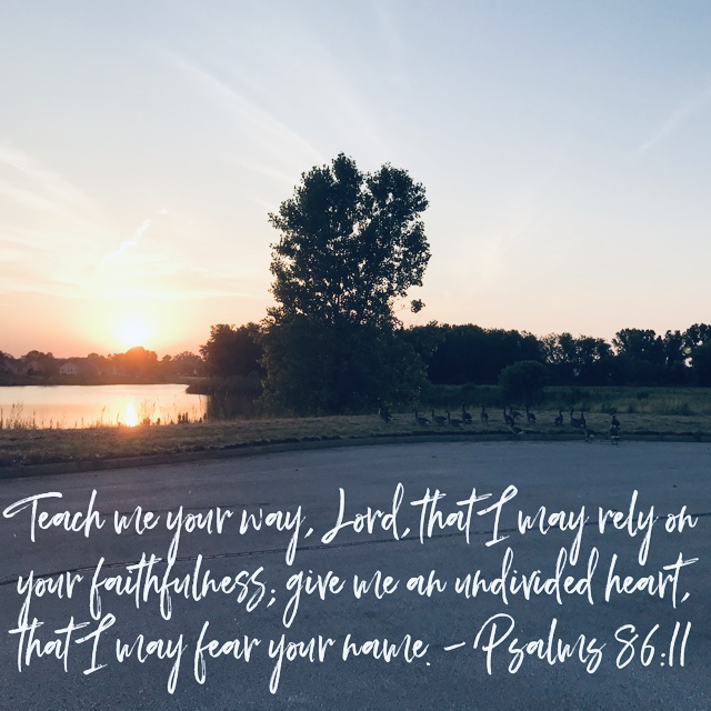 A forever process – Soaking in the Son